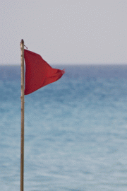 Red Flags - Kids' Language and Occupational Therapy Center