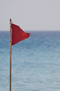 Red Flags - Kids' Language and Occupational Therapy Center